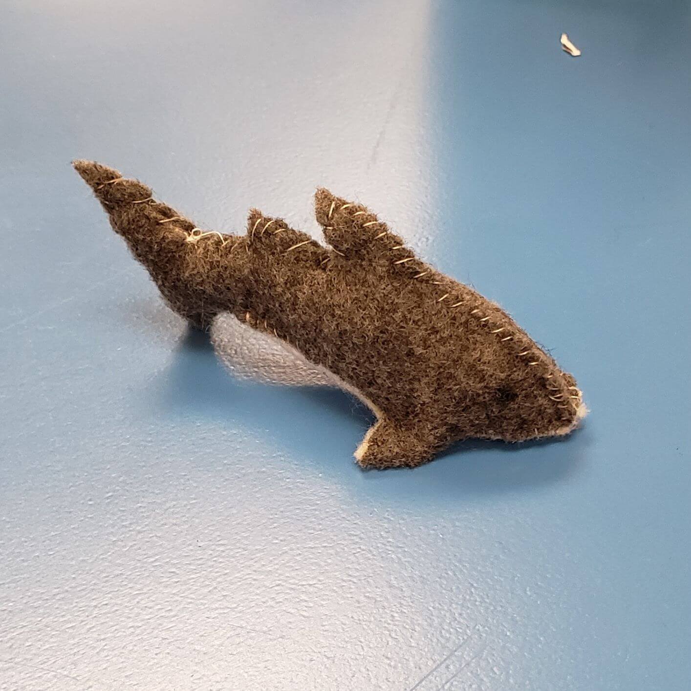 Shark Week - TinkerSpace